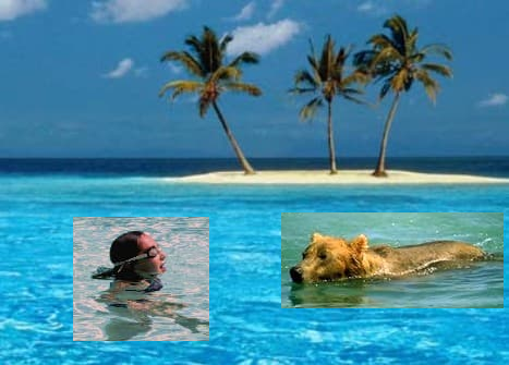 Poisson Image Editing - Rainzor’s Home Page